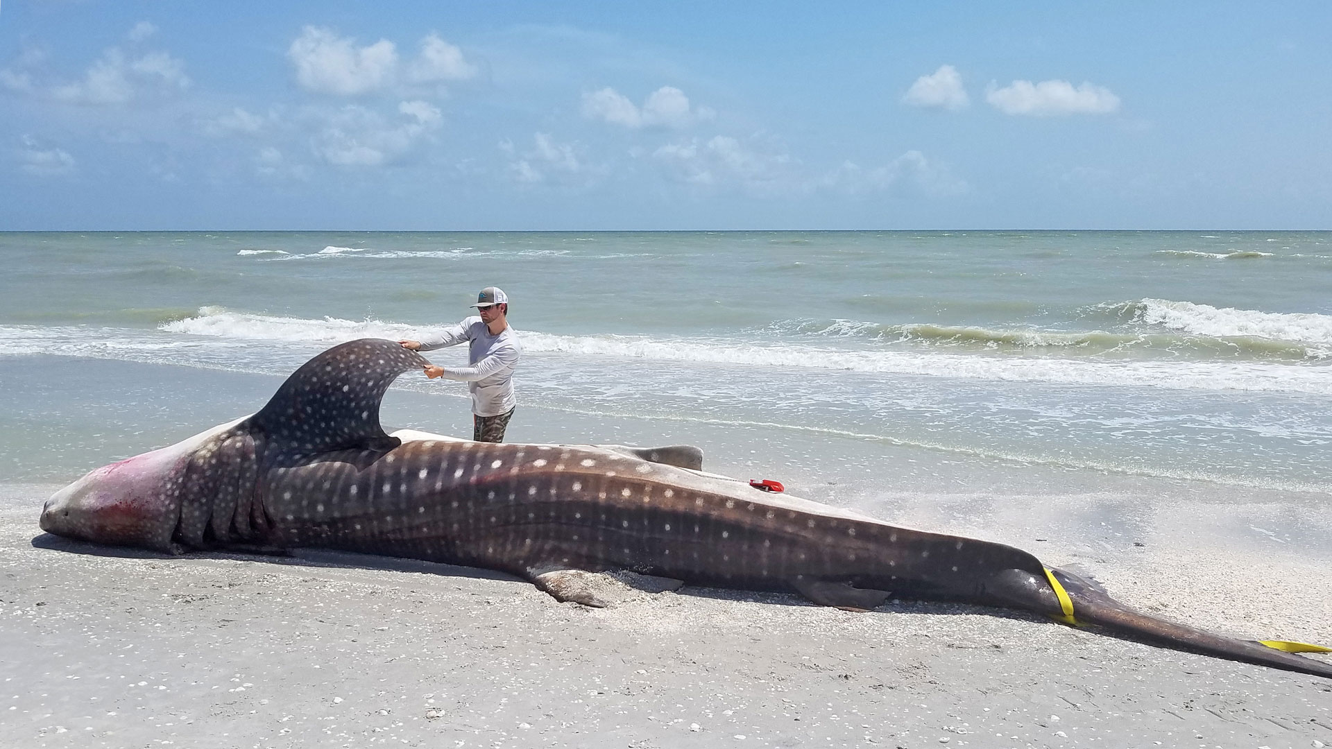 What's causing Florida's toxic algae crisis? - FoodPrint