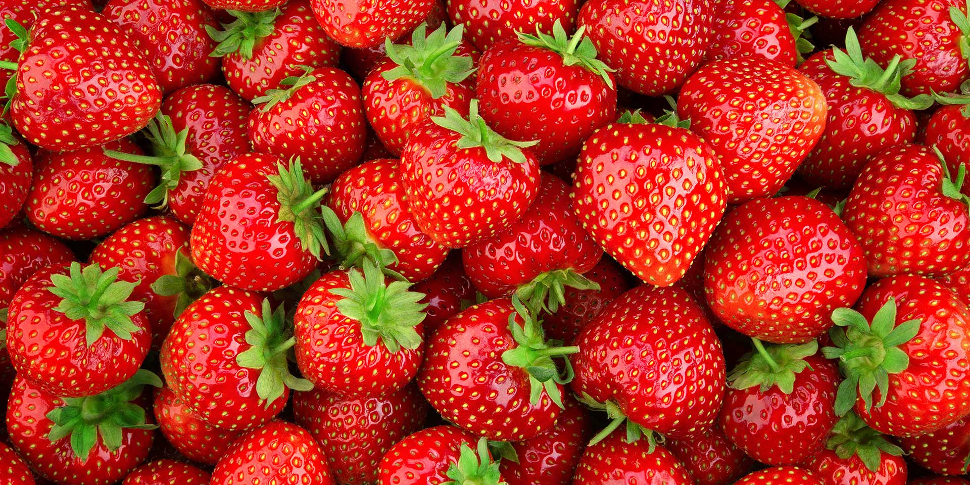 Real Food Encyclopedia - Strawberries - FoodPrint