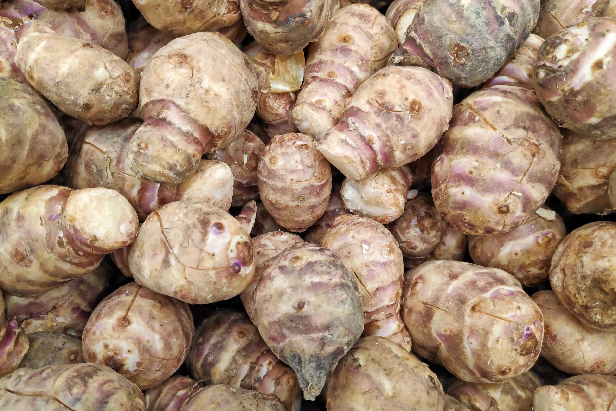 Real Food Encyclopedia - Sunchoke (Jerusalem Artichoke) - FoodPrint