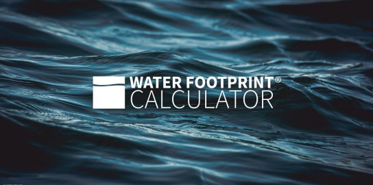 Find Your Water Footprint and Learn How to Save Water - FoodPrint