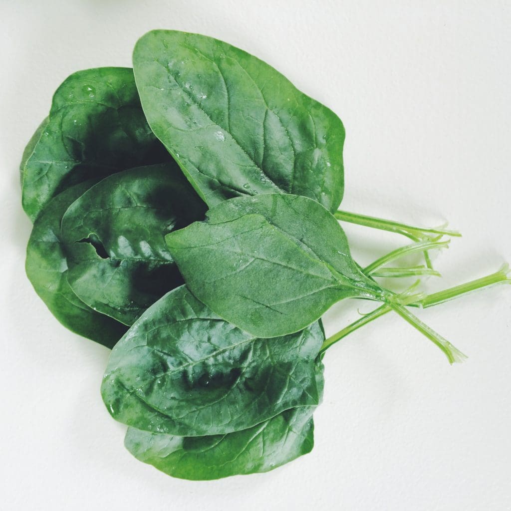 Real Food Encyclopedia | Spinach | FoodPrint