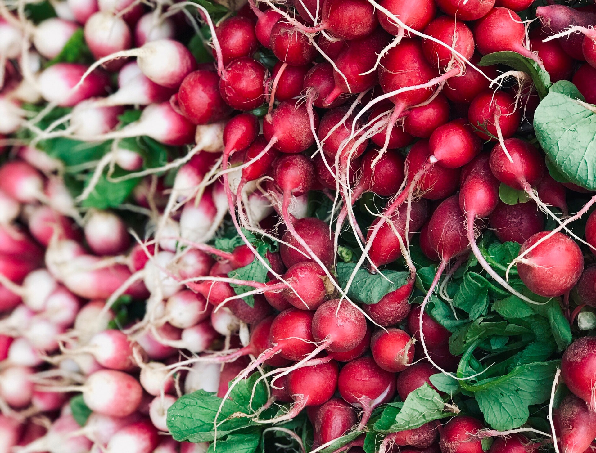 Spring Produce Guide: Fruits and Vegetables - FoodPrint