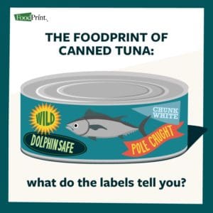 How to Read & Decipher Canned Tuna Labels - FoodPrint