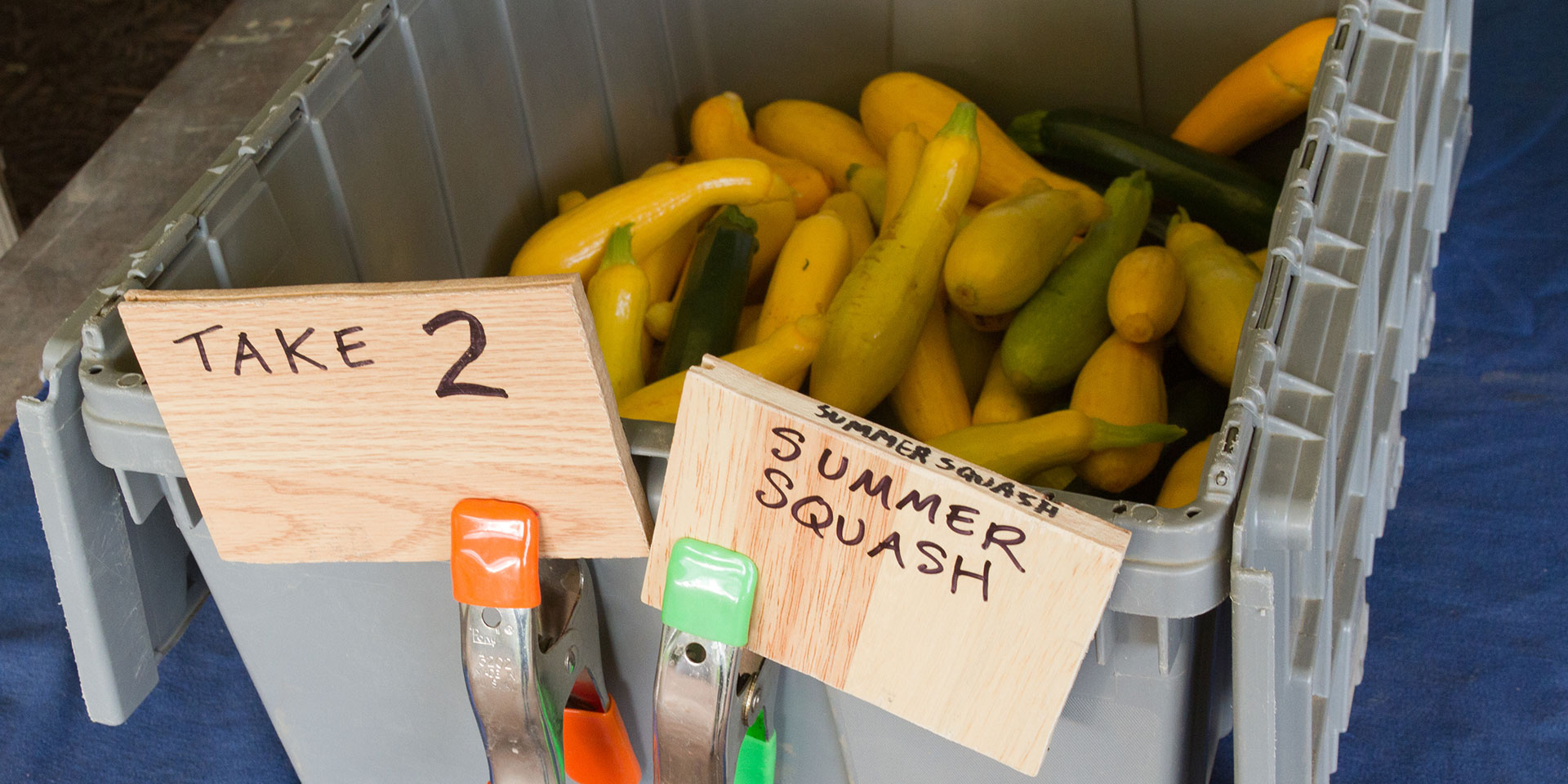 Farmers Pivot to Direct-to-Consumer Sales - FoodPrint