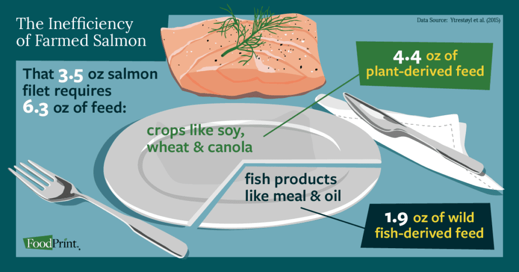 The FoodPrint of Farmed Seafood & Aquaculture - FoodPrint