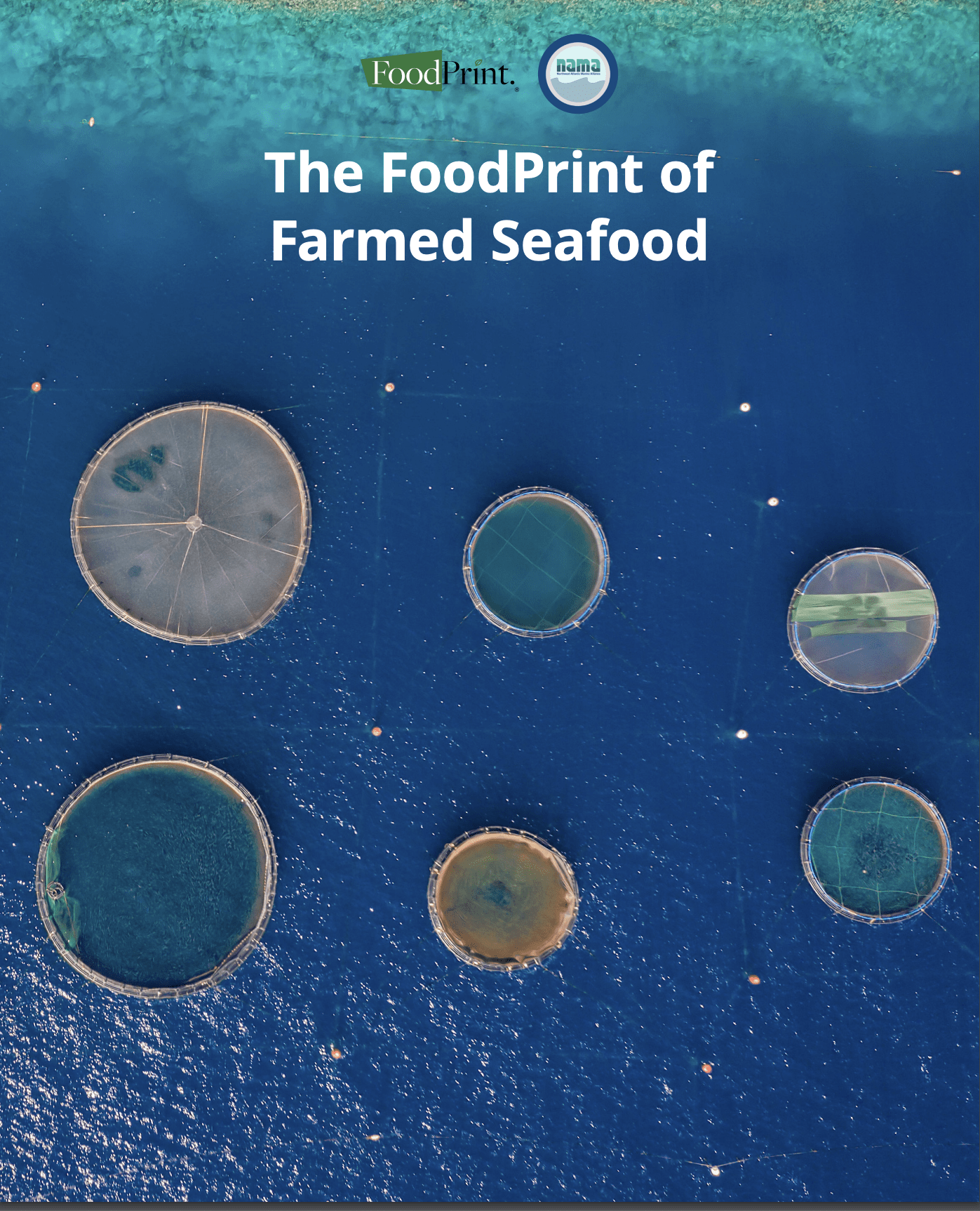 The FoodPrint of Farmed Seafood & Aquaculture - FoodPrint