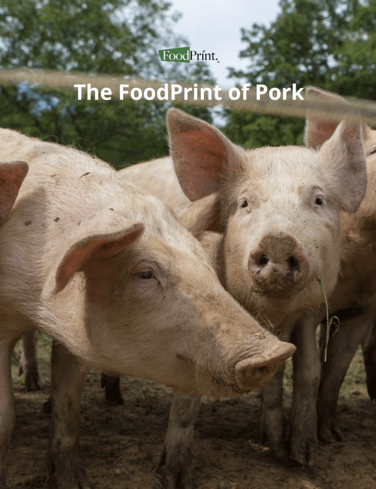 The FoodPrint of Pork - FoodPrint