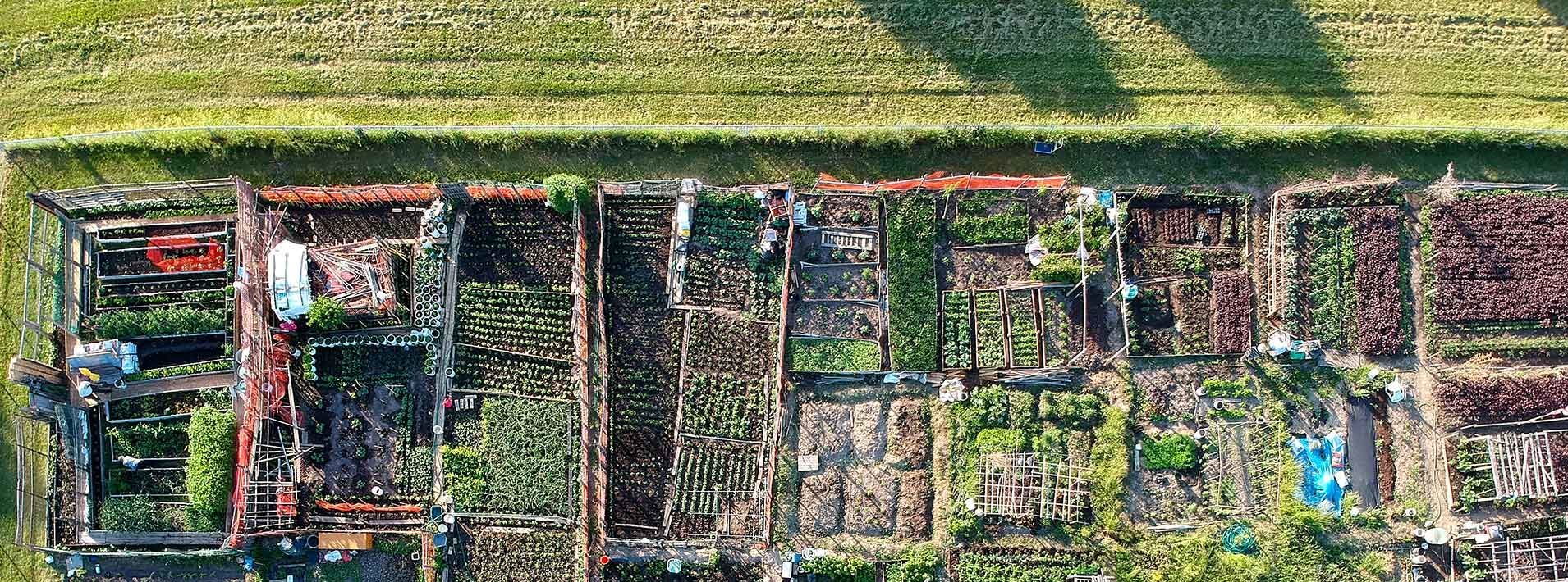 Looking Ahead: Top Food and Agriculture Stories for 2021 - FoodPrint