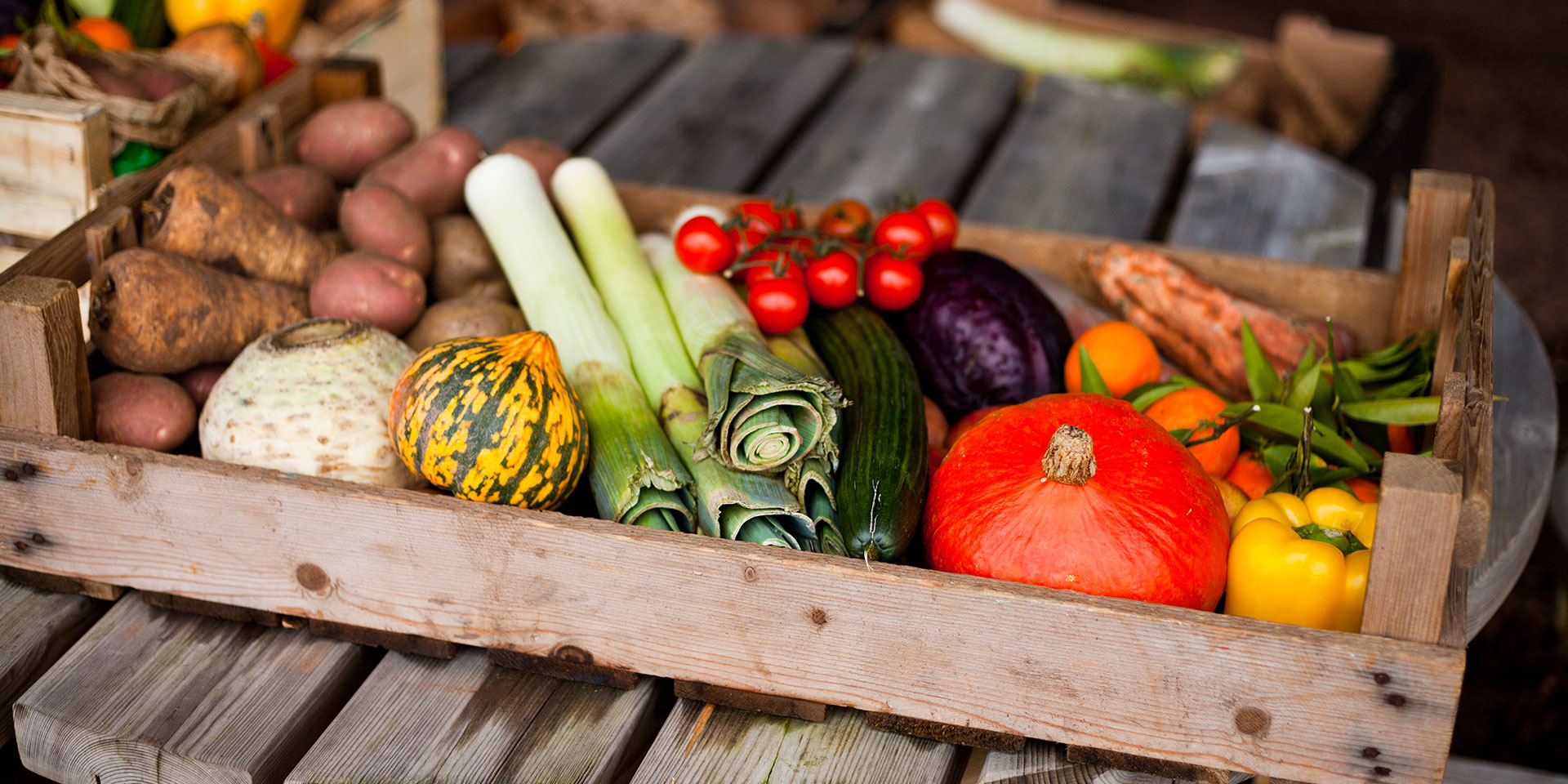 The Untold History of CSA - FoodPrint