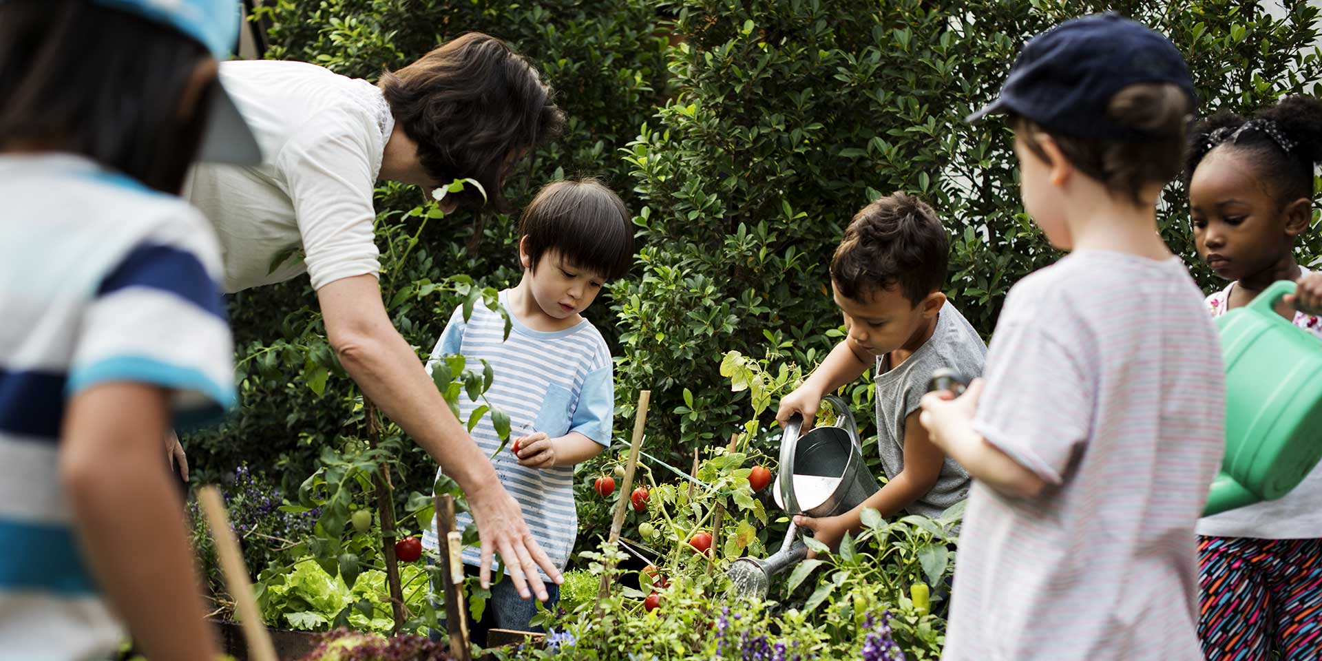 How Healthy School Food Practitioners Found Ways to Cope During COVID ...