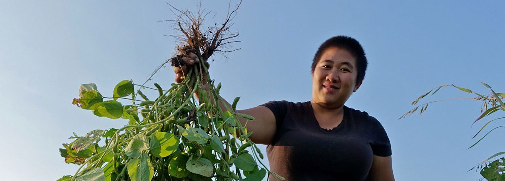 The Hmong Farmers of The Twin Cities' - FoodPrint