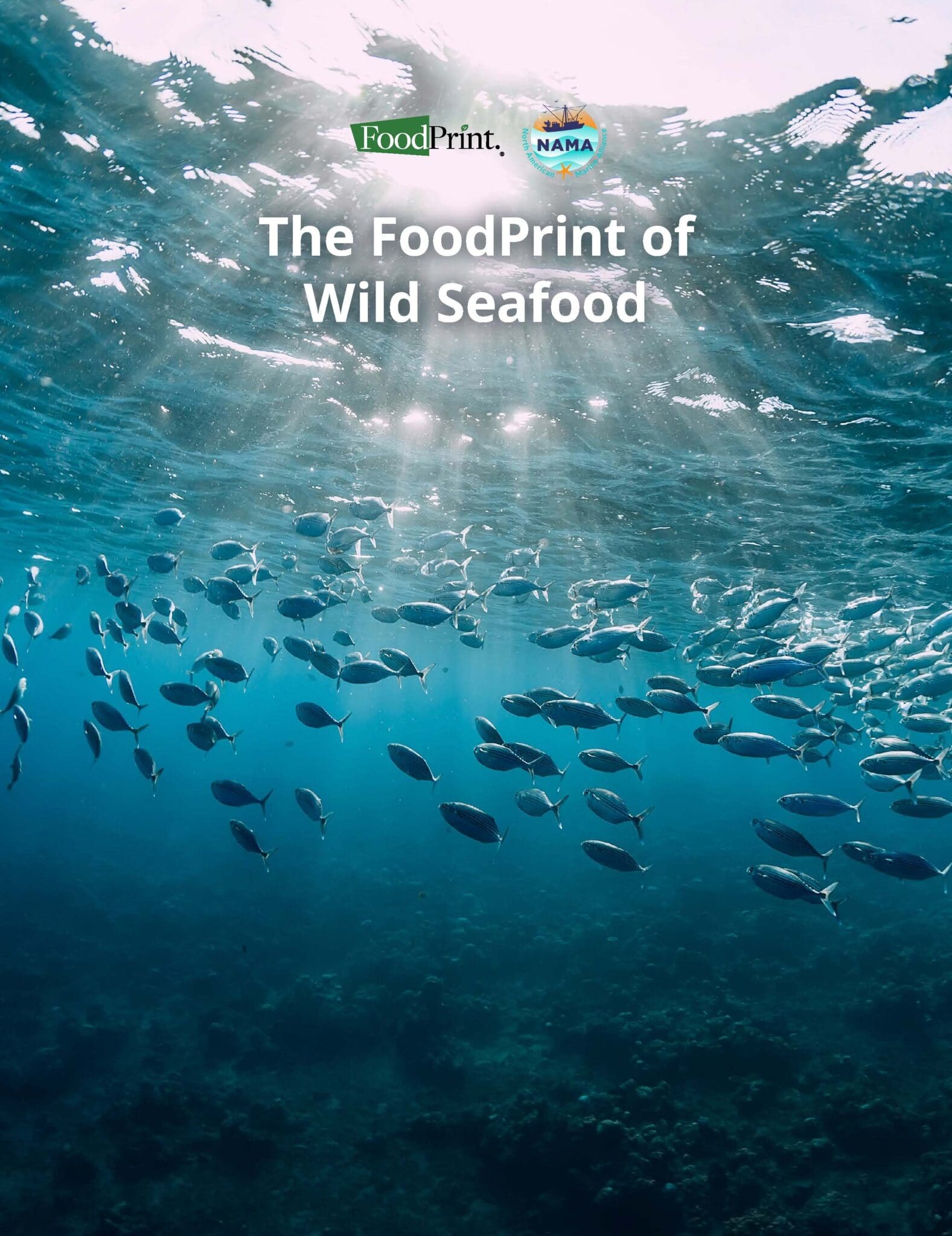 The FoodPrint of Wild Seafood - FoodPrint