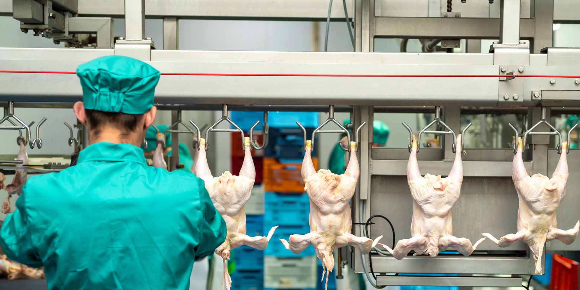 The 'unseen hands' of the food system - FoodPrint