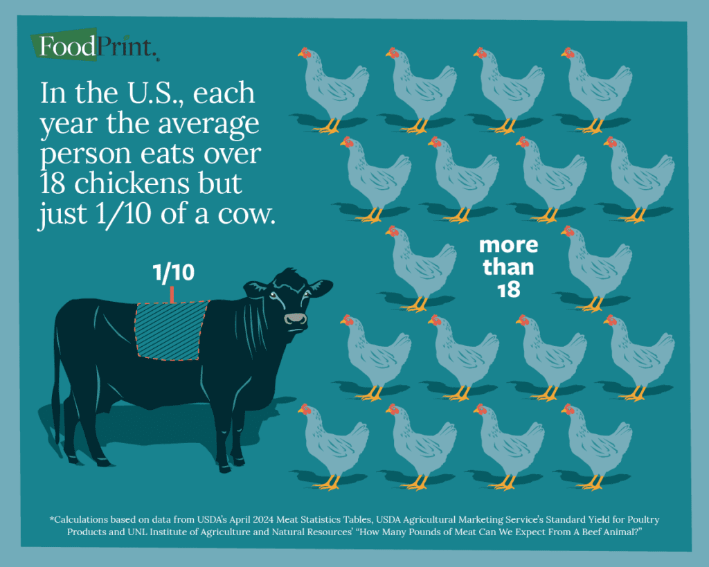 Is switching from beef to chicken a sustainable swap? - FoodPrint