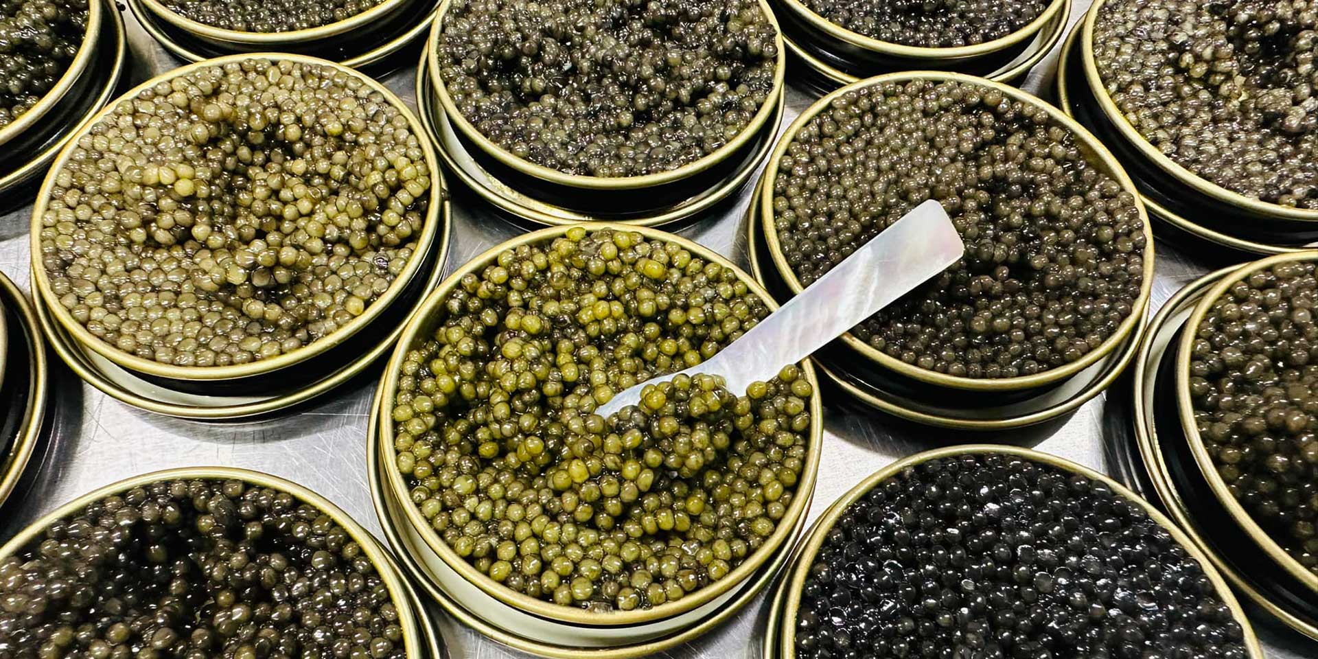 The quest for more sustainable caviar -FoodPrint