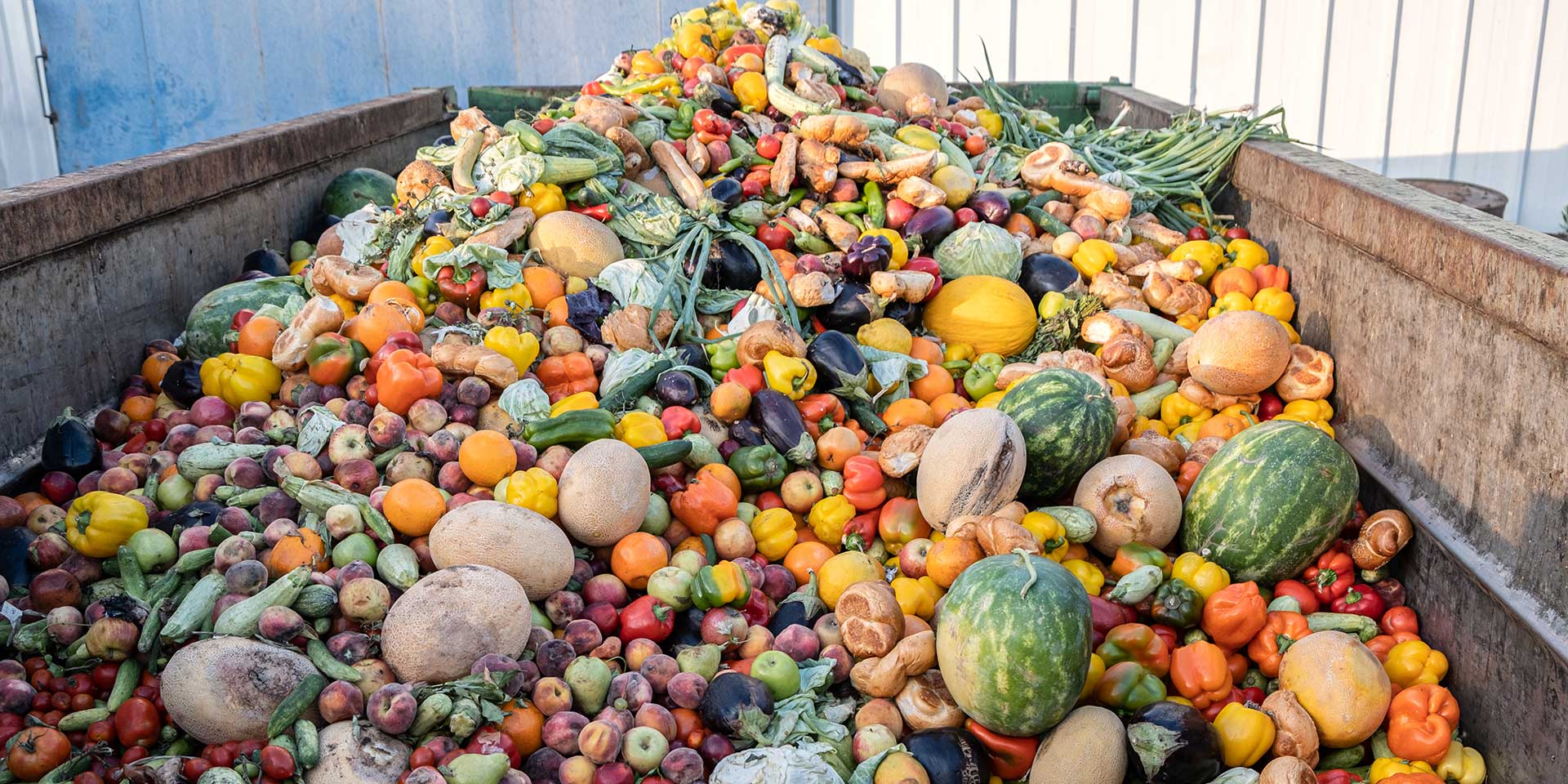How can we cut food waste in half by 2030? - FoodPrint