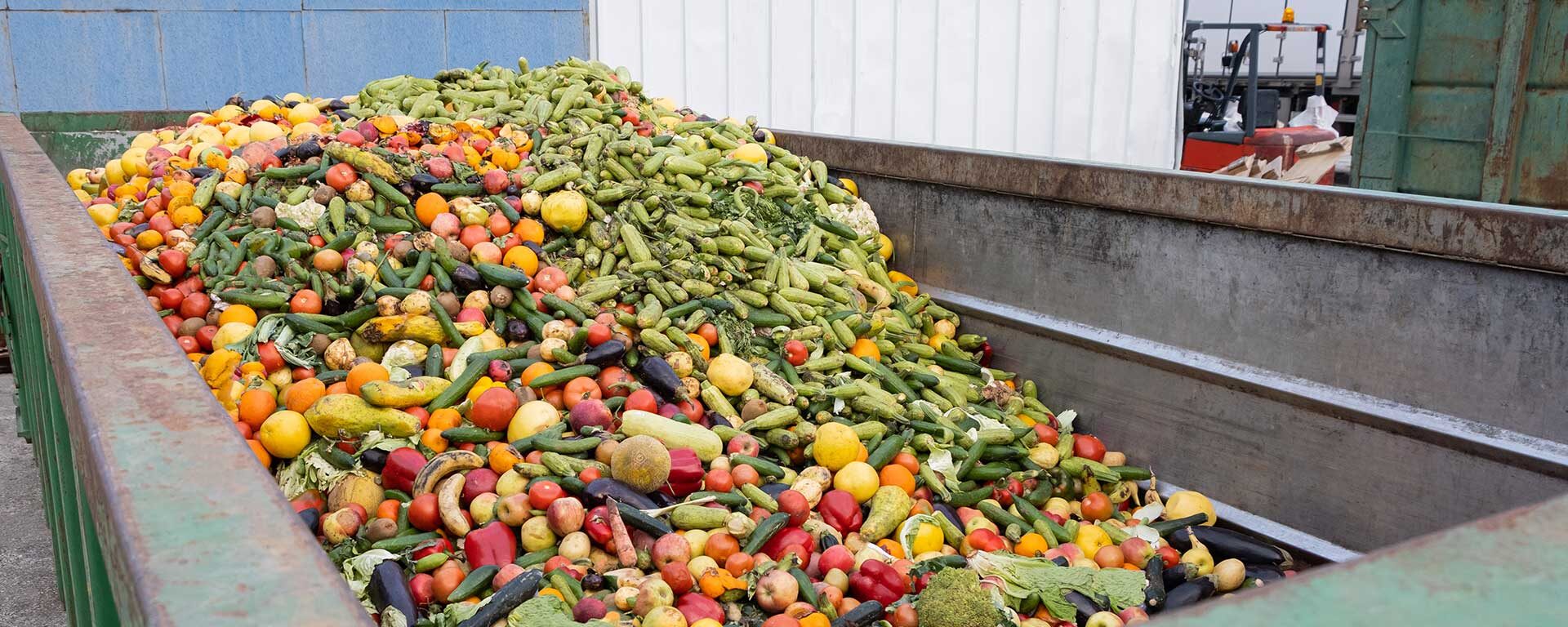 Are organic waste bans really taking a bite out of food waste - FoodPrint